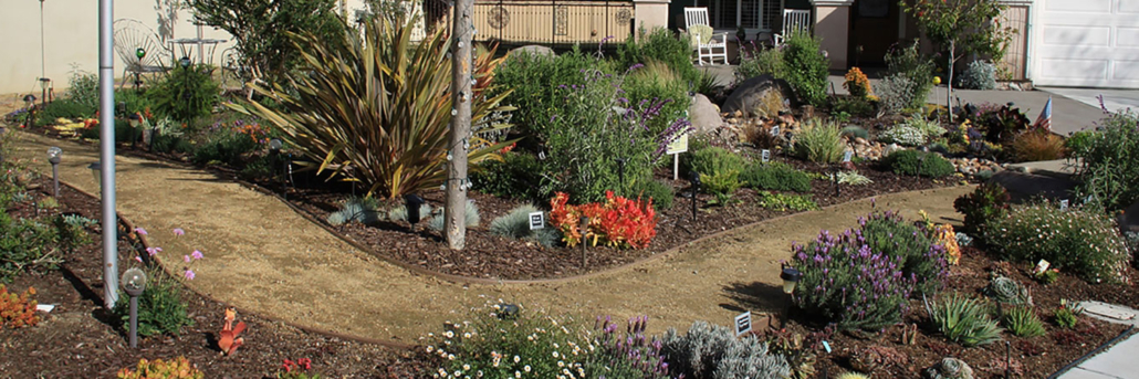 Enter the WaterSmart Landscape Contest - CLICK HERE TO START ...