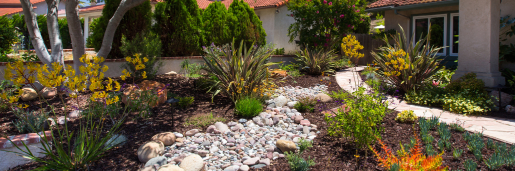 Enter the WaterSmart Landscape Contest - CLICK HERE TO START ...