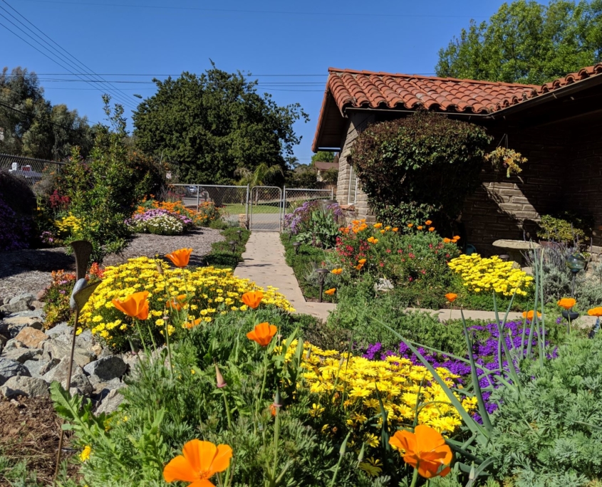 Winners - WaterSmart Landscape Contest