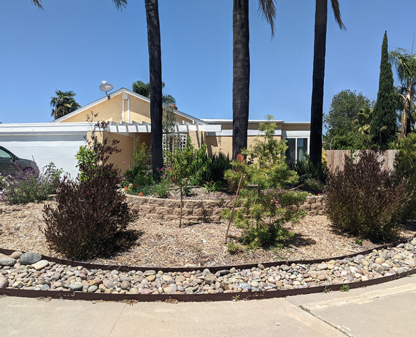 Winners - WaterSmart Landscape Contest